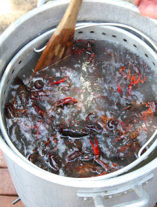 How To Boil Crawfish: The Complete Guide - 30AEATS