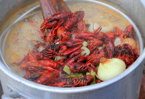 How To Boil Crawfish: The Complete Guide - 30AEATS